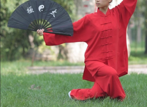 Wu Shu | YAMABUSHI